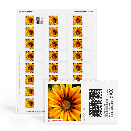 Original NetStamps Sheets – Stamps.com Supplies