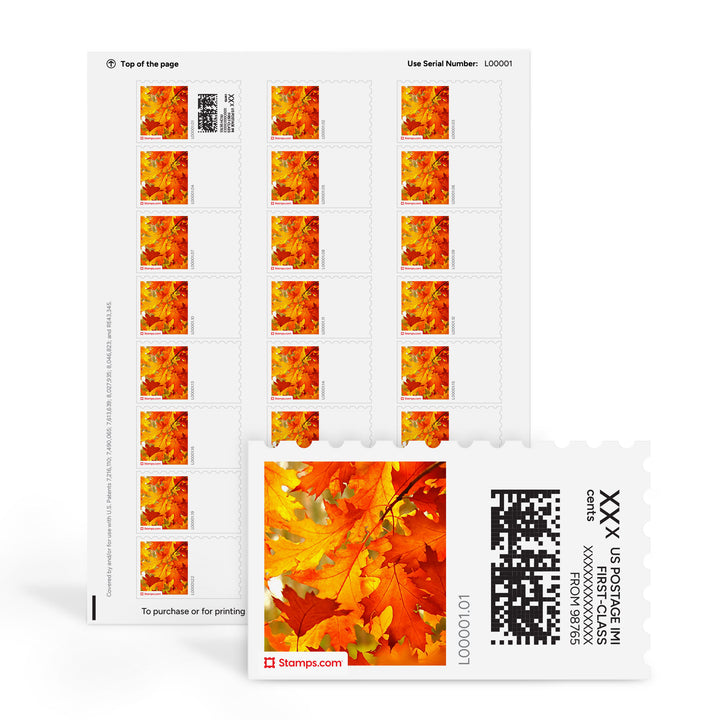 Tracking Your Order – Stamps.com Supplies