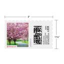 Stamps.com Supplies Store